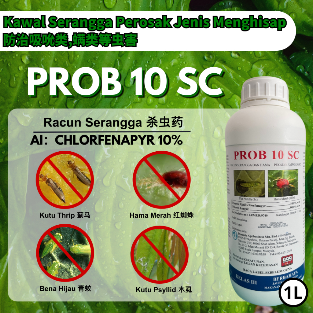 【Bena Hijau/Kutu Thrip/Hama Merah/Kutu Psyllid】Prob 10 SC 1L 【SAME AI ...