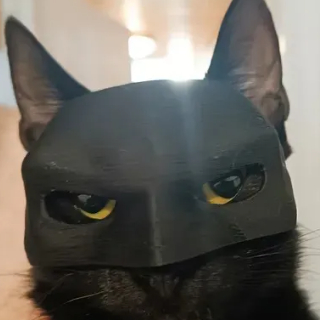 Bat-cat Batman cat mask | Shopee Malaysia