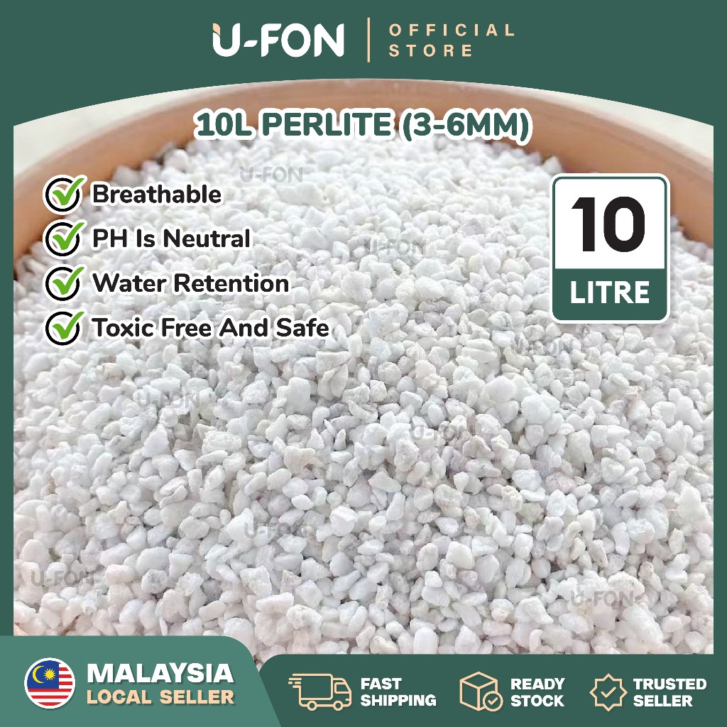 10L Perlite 3-6mm For Cactus & Succulents Perlite Stone Bonsai ...