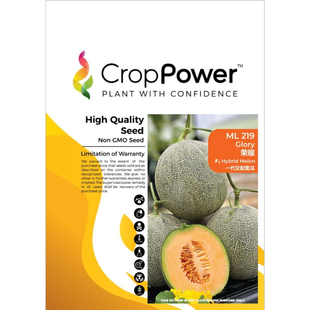 Benih Rock Melon ML219 Glory F1 Hybrid Melon Crop Power - ( 500 seeds ...