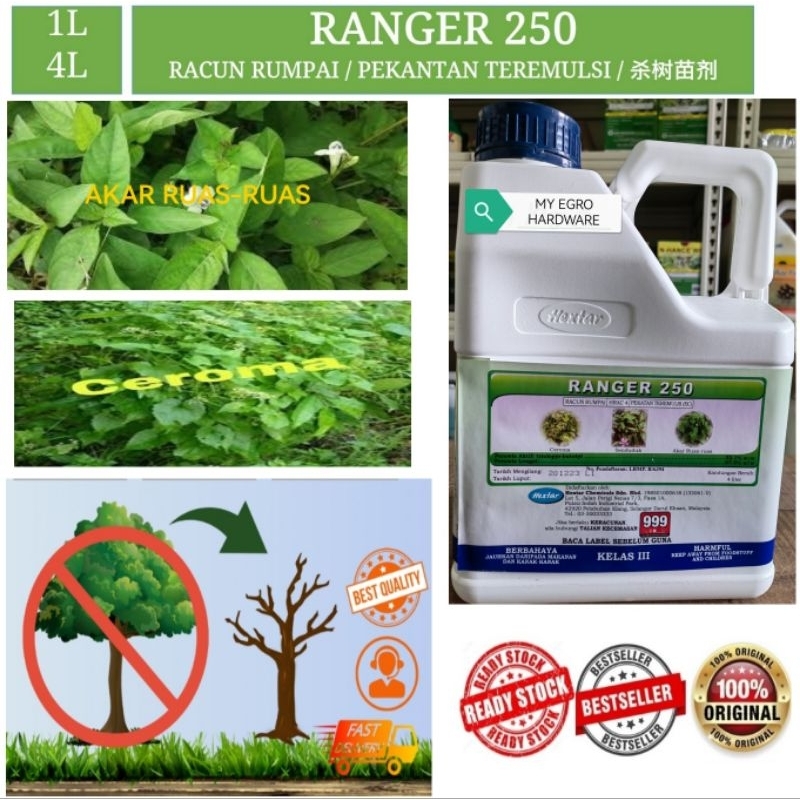 Hextar Ranger 250 Herbicide/ Triclopyr-butotyl/ Racun Rumput Rumpai ...