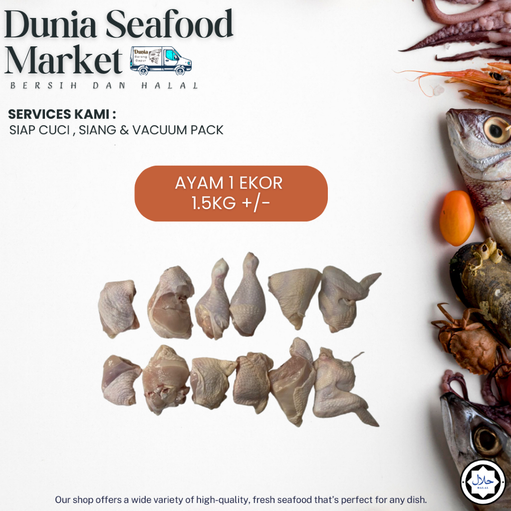 [FRESH] AYAM SEGAR | DADA AYAM | DRUMSTICK | ISI AYAM {DELIVERY SELURUH ...