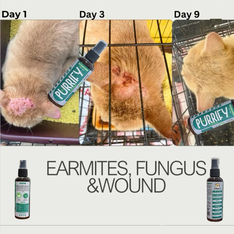 PURRIFY Medicated Pet Spray Anti Parasitic ,Anti Fungal , Anti ...