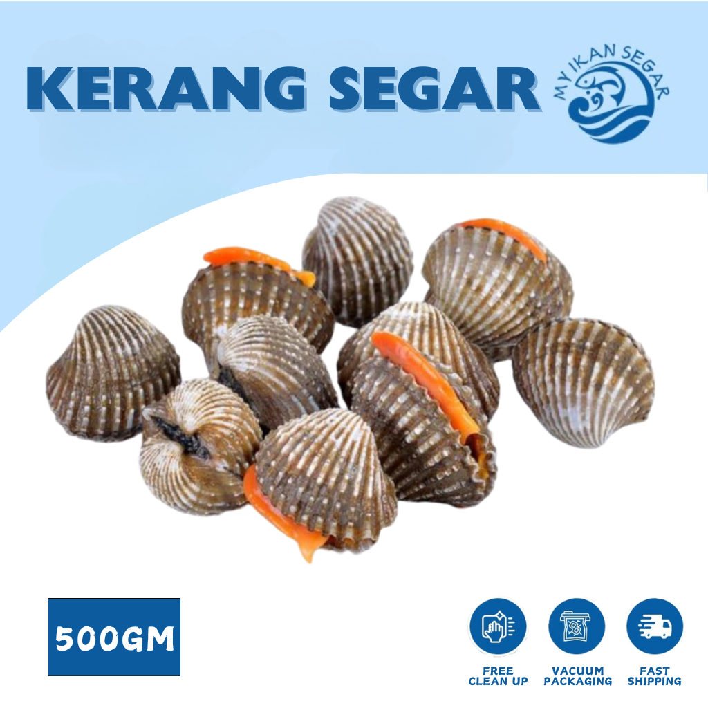 KERANG 500G KERANG FROZEN FOOD KERANG SEAFOOD FROZEN | Shopee Malaysia