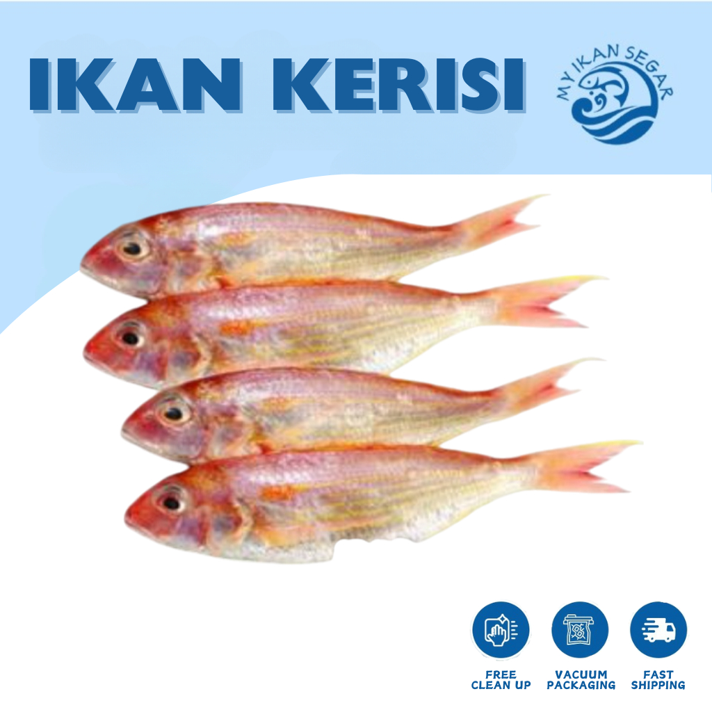 IKAN KERISI 1KG (SIAP SIANG &CUCI) S/M IKAN KERISI IKAN FROZEN IKAN AIR ...