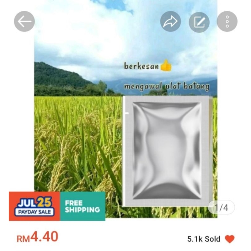 Ajiebb ulat pengorek batang sawah padi kesing padu gardening bendang ...