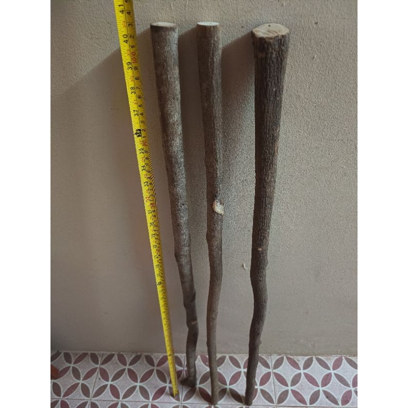 Raja kayu putih 40 inchi | Shopee Malaysia