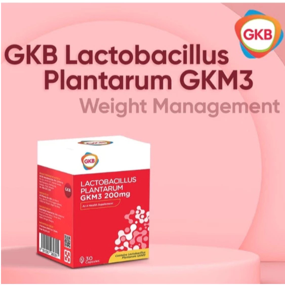 GKB Lactobacillus Plantarum GKM3 200mg 1box 30's | Lose Belly Fat ...