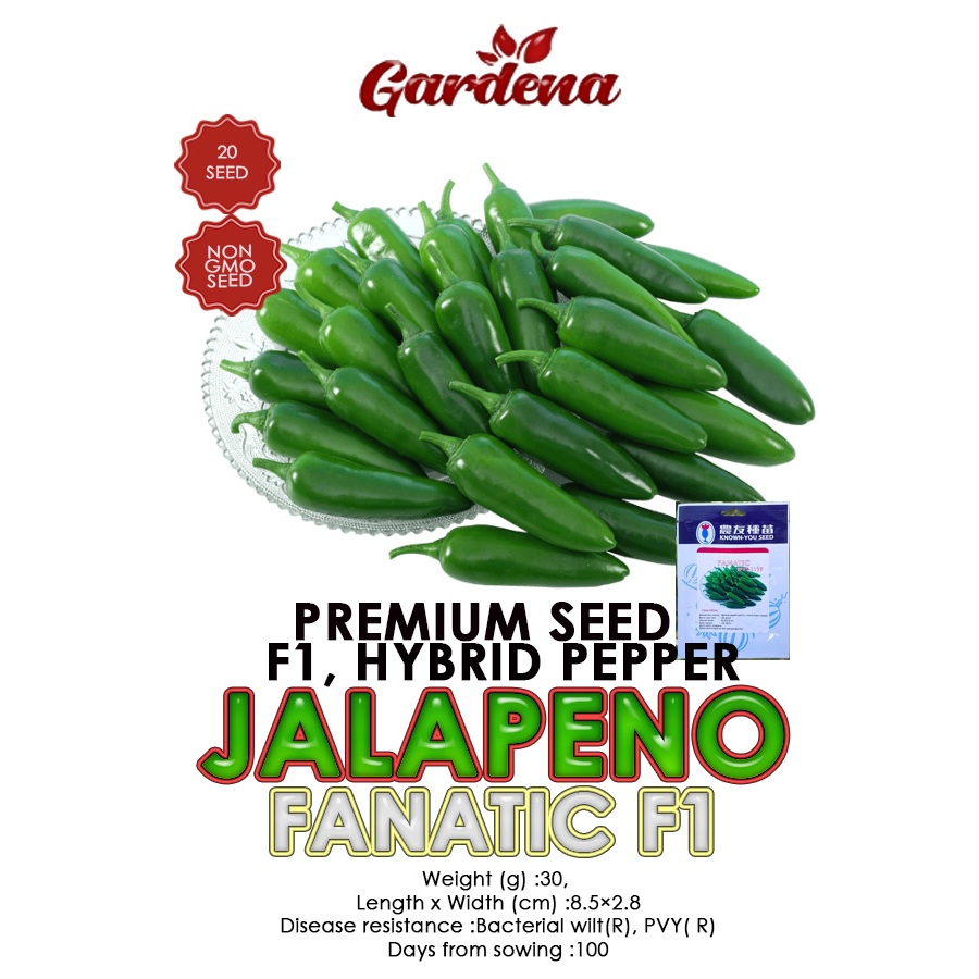 20 BIJI BENIH CILI JALAPENO F1 HYBRID - REPACK | Shopee Malaysia
