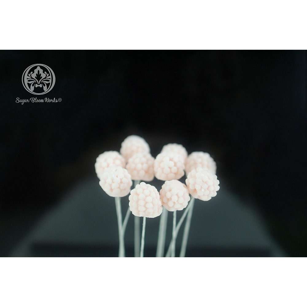 Assorted Berries Gumpaste READY STOCK / Bunga Kek / Hiasan Kek / Bunga ...