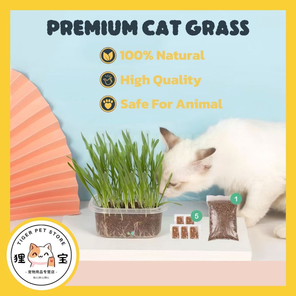 Cat Grass Seed Cat Grass Set Biji Benih Rumput Kucing healthy cat food hairball solution 猫草 化毛草 ...