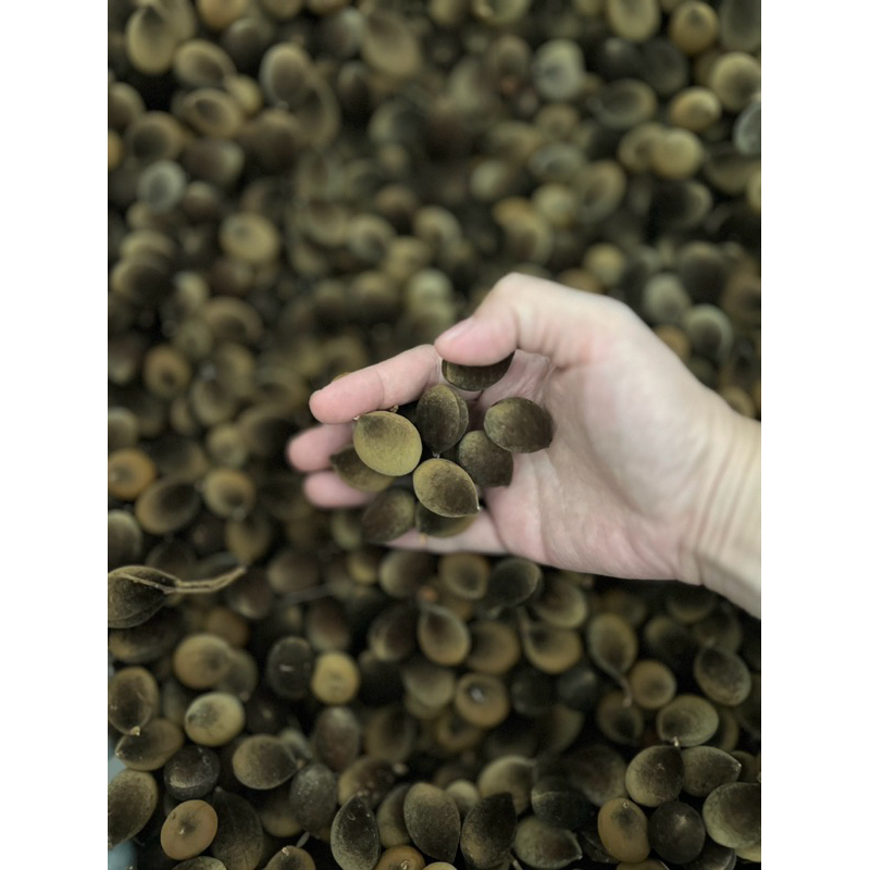 Buah keranji segar asam manis 300gm/ packet | Shopee Malaysia