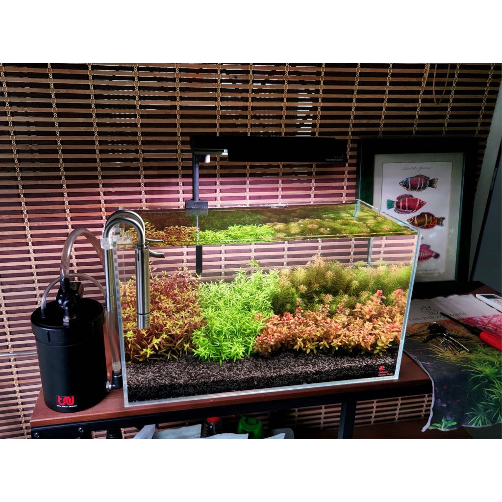 TRU PVC v1 Nano External Aquarium Canister Filter (S/M) (Mini Tank/Nano ...