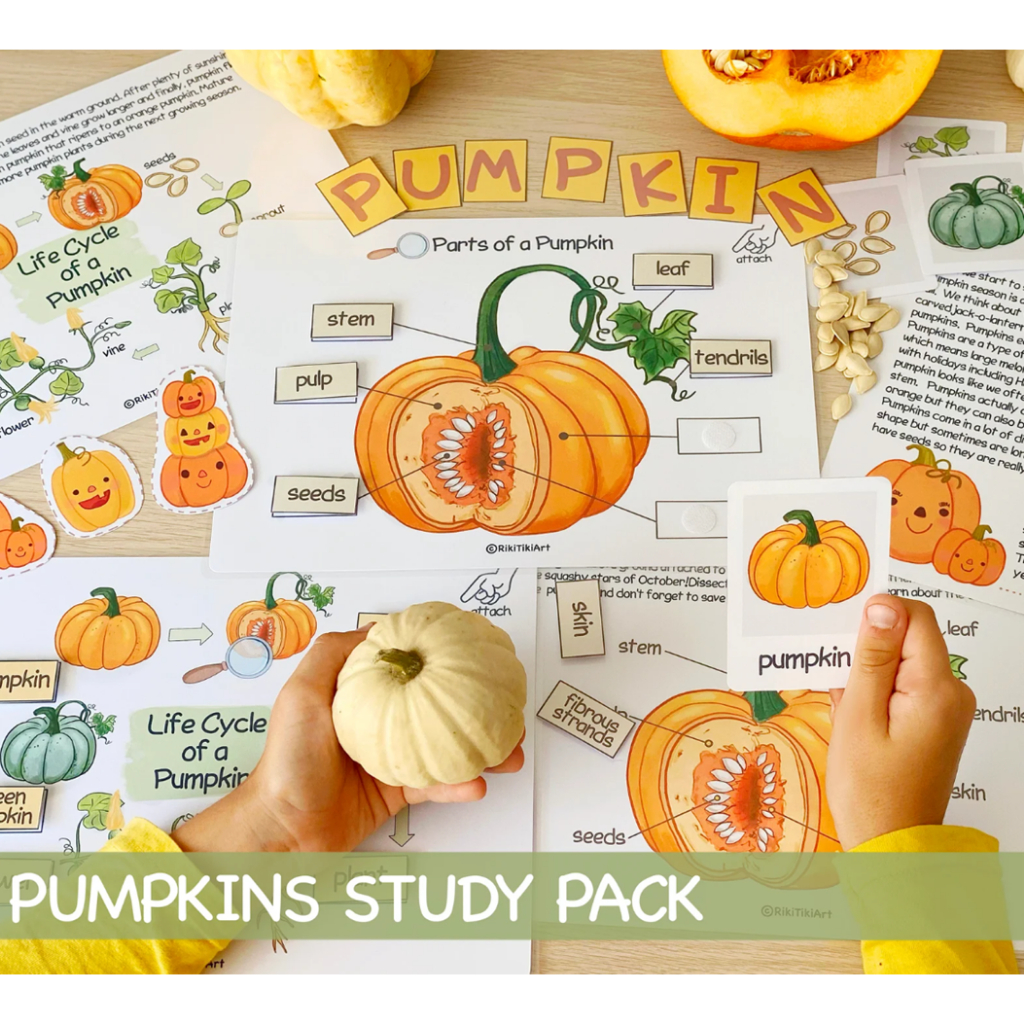 PDF] Pumpkin Unit Study Home Learning Printable Montessori Toddler ...