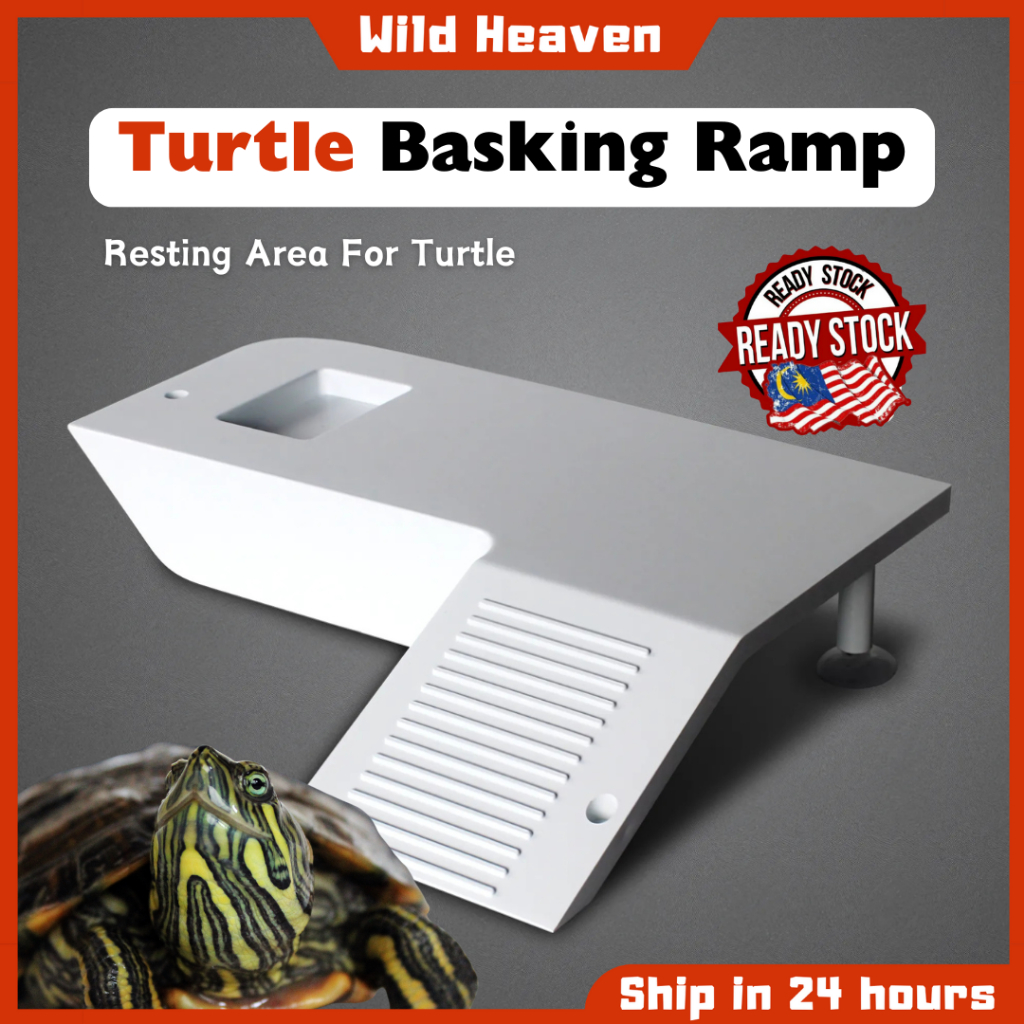 Turtle Basking Ramp Resting Area With Cave Tortoise Platform ...