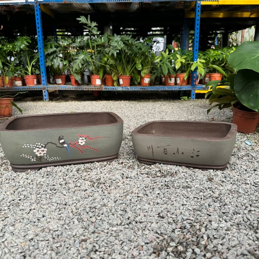 GPS Green Plant Society CPOT Bonsai Rectangular Light Green Clay Pot ...