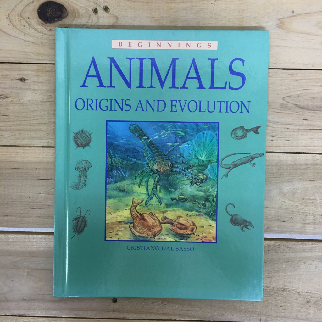 Animals Origins and Evolution (Preloved) | Shopee Malaysia