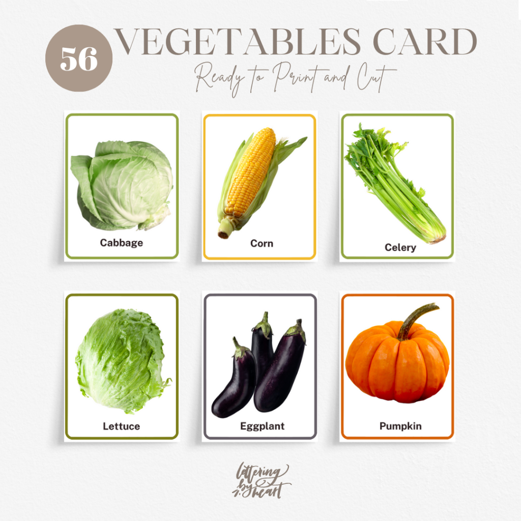 Toddler Flashcards with 60 Vegetable, Montessori Flash Cards, Pre ...