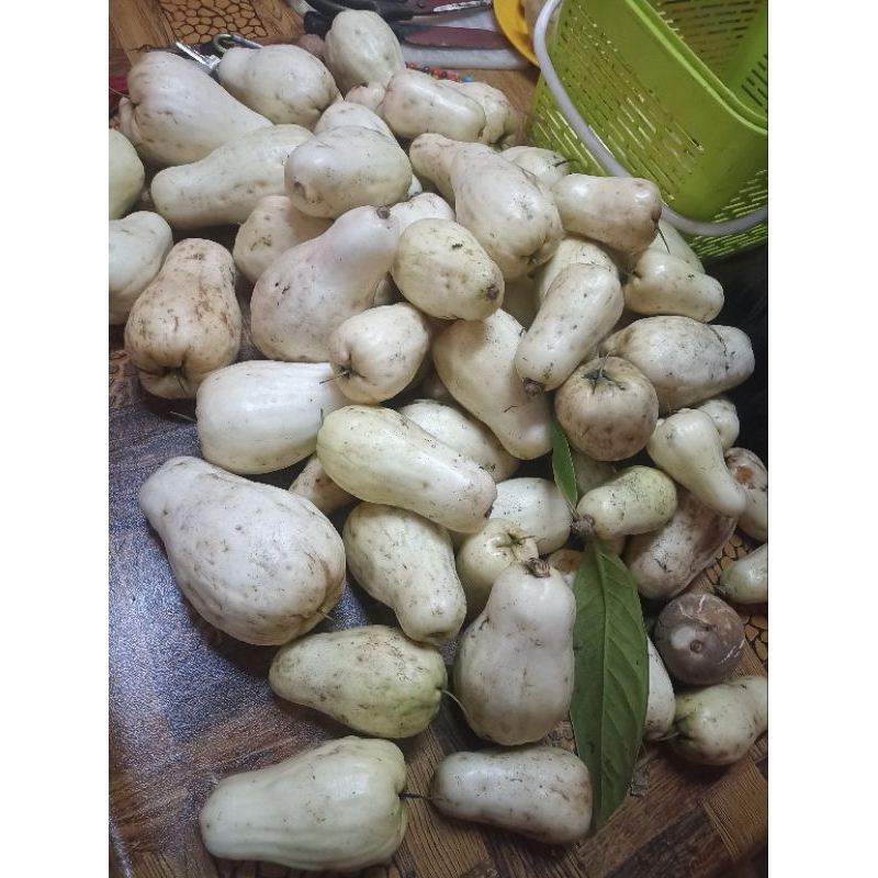 buah jambu susu sedap 1kg | Shopee Malaysia