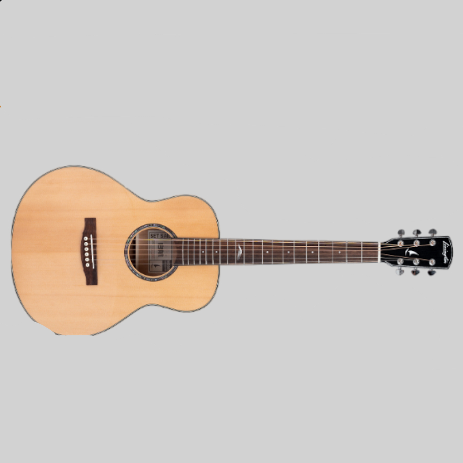 Livingston V01-GS 38" Solid Top Acoustic Guitar, Rosewood FB ( V01 GS ...