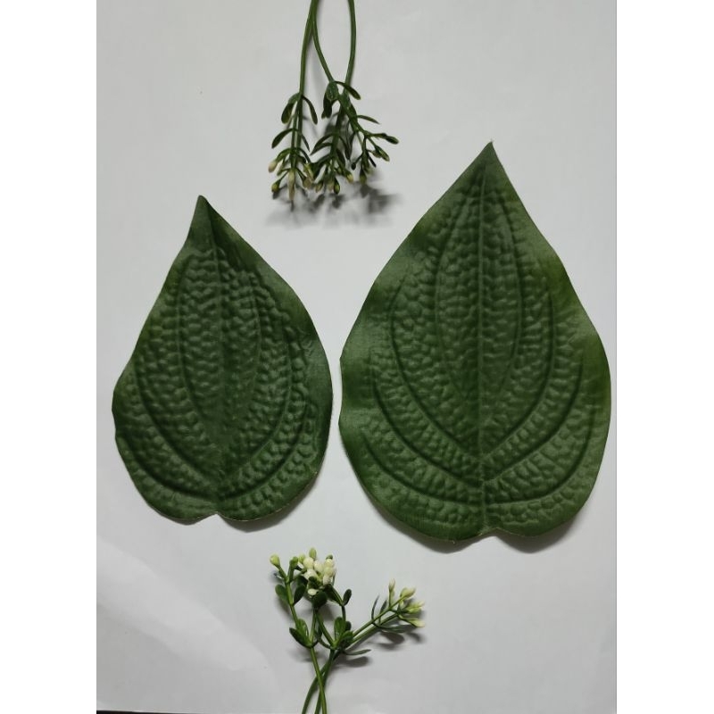 Sirih palsu ( 50 keping ) | Shopee Malaysia