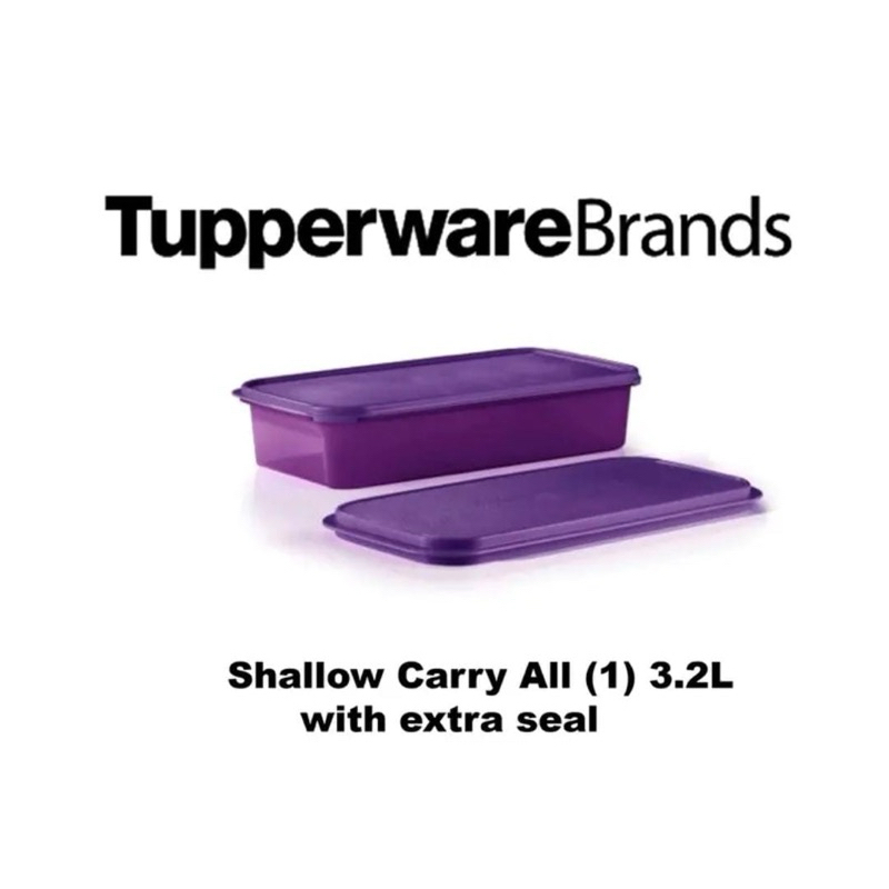 shallow carry All tupperware | Shopee Malaysia