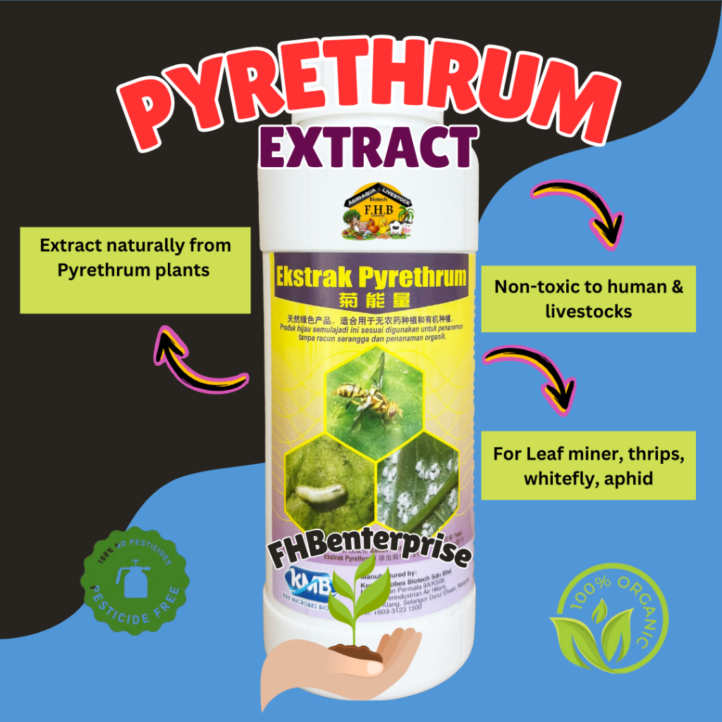Pyrethrum Extract (500 ml) Ken Microbes Pest Control Agriculture Pokok ...