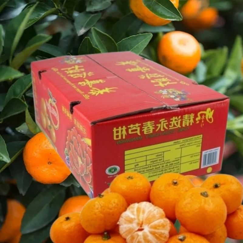 China Lokam Mandarin Orange (M- L size) | Shopee Malaysia