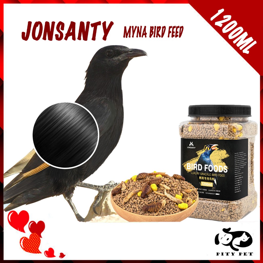 Jonsanty Luxury Premium Common Hill Myna Crested Myna Bird Food 1200ML ...