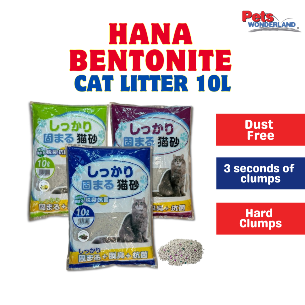 HANA Bentonite Cat Litter 10L – High Absorbency, Dust-Free Clumping ...