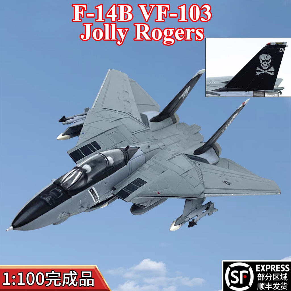 Photo Only 1:100 F-14 Tomcat Jolly Rogers Tomcatter Fighter Jet Diecast ...