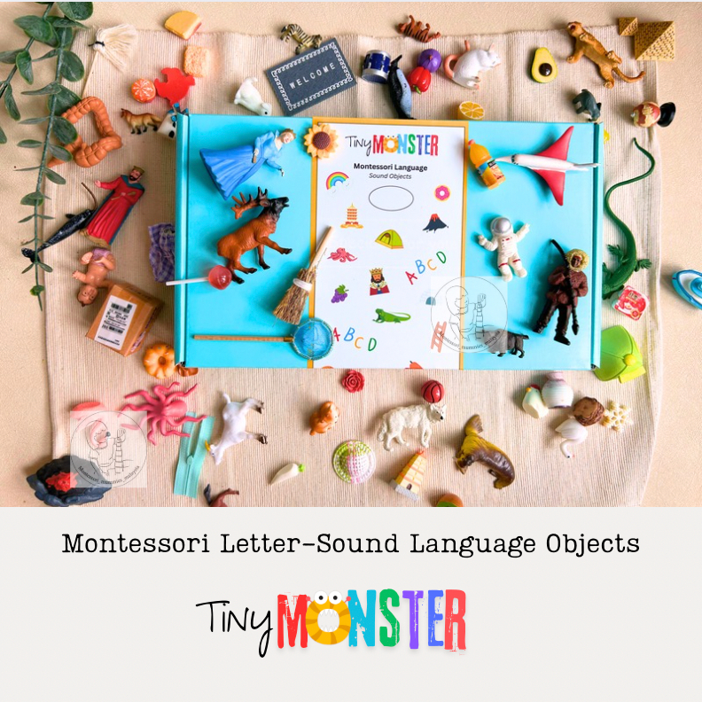 TINY MONSTER Montessori Language Phonics Alphabet Sound Objects/english ...