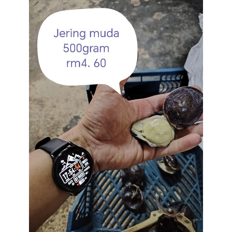 jengkol muda/jering muda kampung/tempatan | Shopee Malaysia