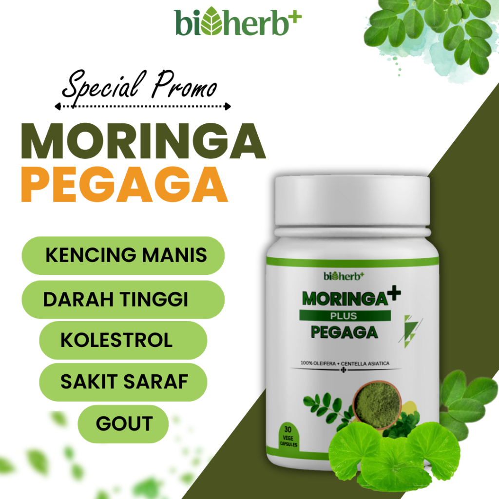 [LOWEST PRICES] Moringa PLUS PEGAGA BIOHERB 500mg x 30 capsules ...