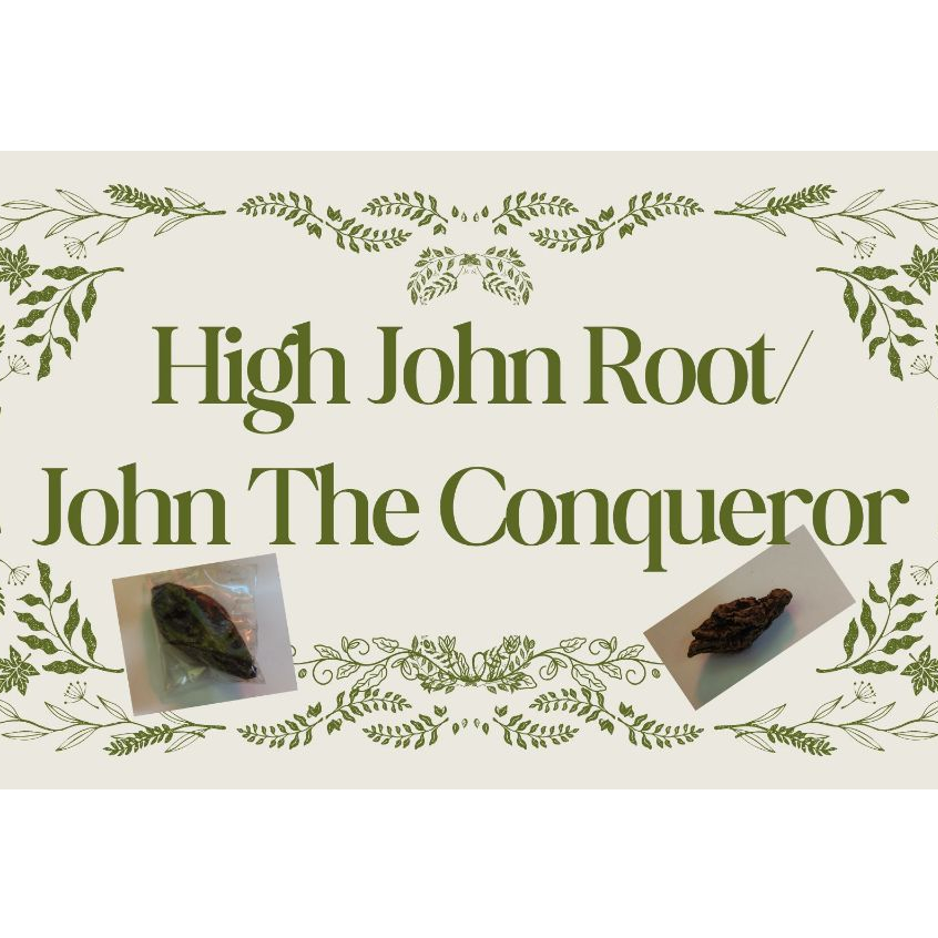John The Conqueror (Ipomoea Jalapa)-Whole Root | Shopee Malaysia