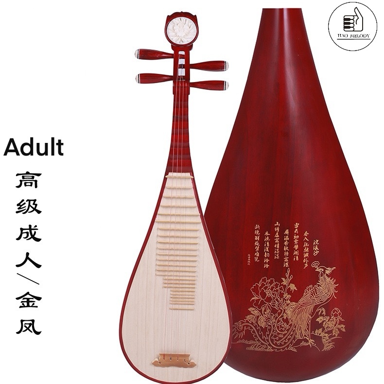 [HAO MELODY] 红木雕刻画成人琵琶 Red Wood Pipa Chinese Instrument Plucking ...
