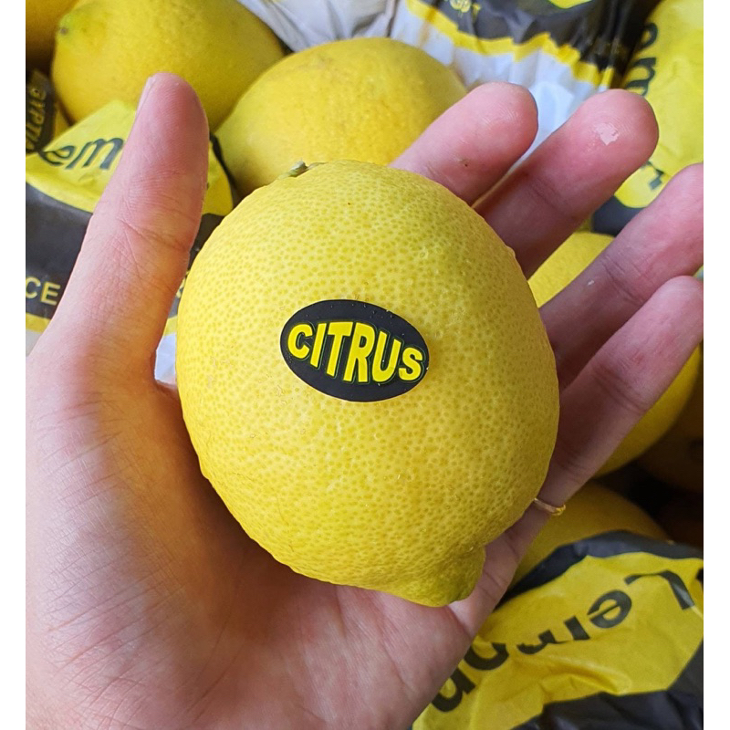South Africa Lemon Big (1PCS) | Shopee Malaysia