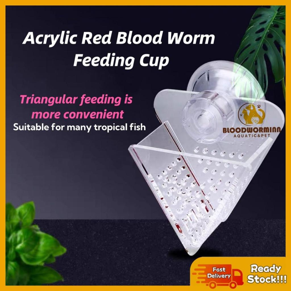 Plastic BloodWorm Feeder V-Shaped Feeder Fish Funnel Suction Cup Shrimp ...