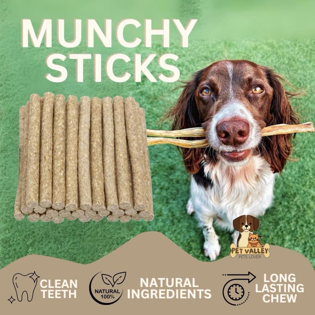 Munchy Stick 5" Dog Chewing Treats (1kg/pack) Munch Snacks for Teething ...