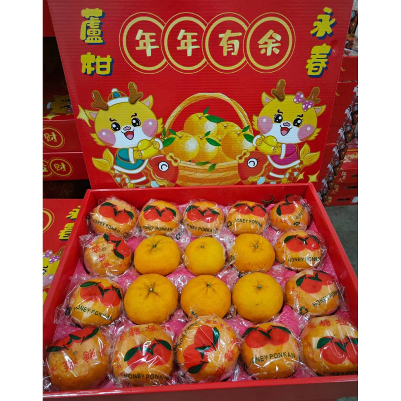 永春芦柑 China Lokam Yong Chun M/L/XL 包check | Shopee Malaysia