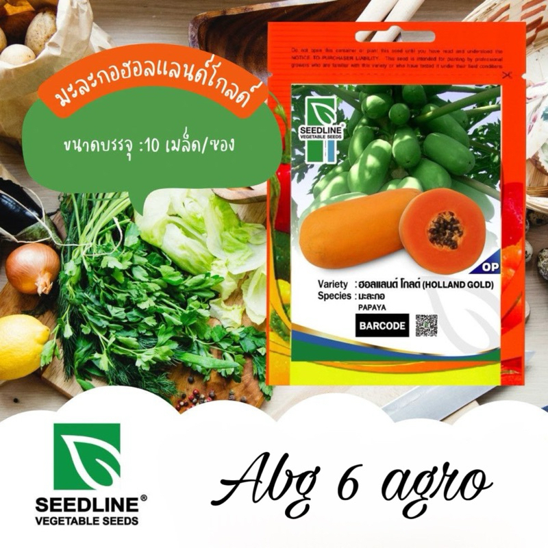 10Biji Benih Betik Madu Holland Gold / Betik Madu Sekaki / Papaya Seed/ Cap Seedline Vegetable ...