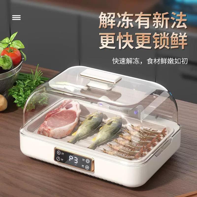 Kitchen Defroster Large Capacity Quick Thawing Machine with Atomizer ...