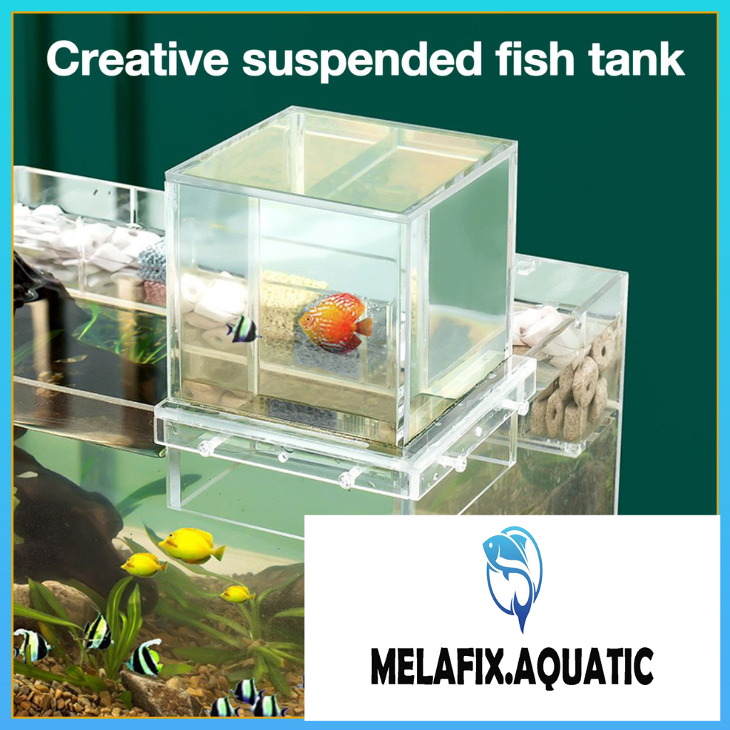 Extended Mini Fish Tank with Negative Pressure | Aquarium Tekanan ...