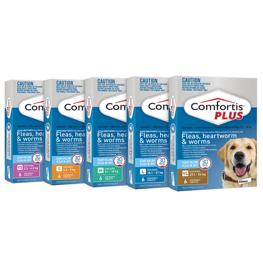 Comfortis-Plus Dogs (6 Tablets) | Shopee Malaysia