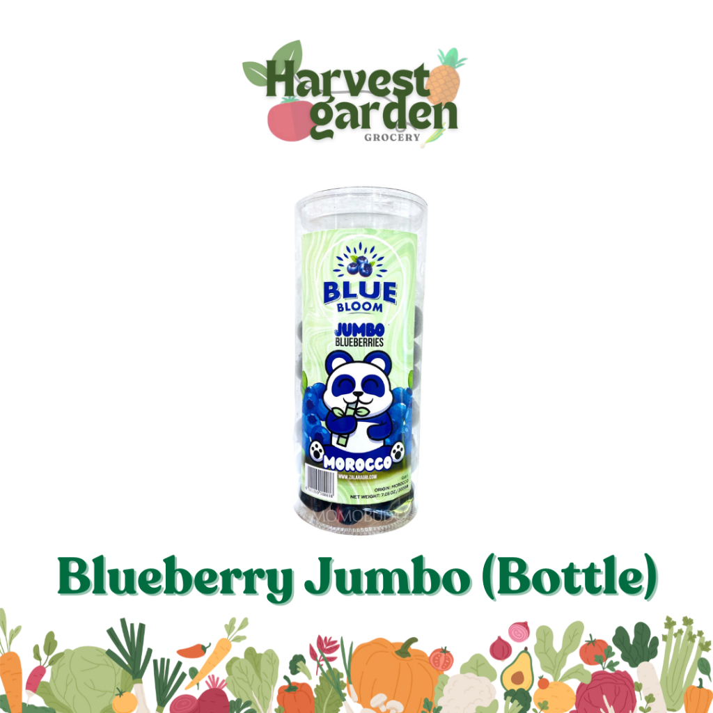 Fresh Premium Jumbo Blueberry (Bottle) // 特级大蓝莓（罐装） 250G | Shopee Malaysia