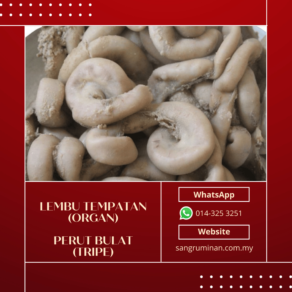 (LEMBU TEMPATAN) Perut Bulat per kg | Shopee Malaysia