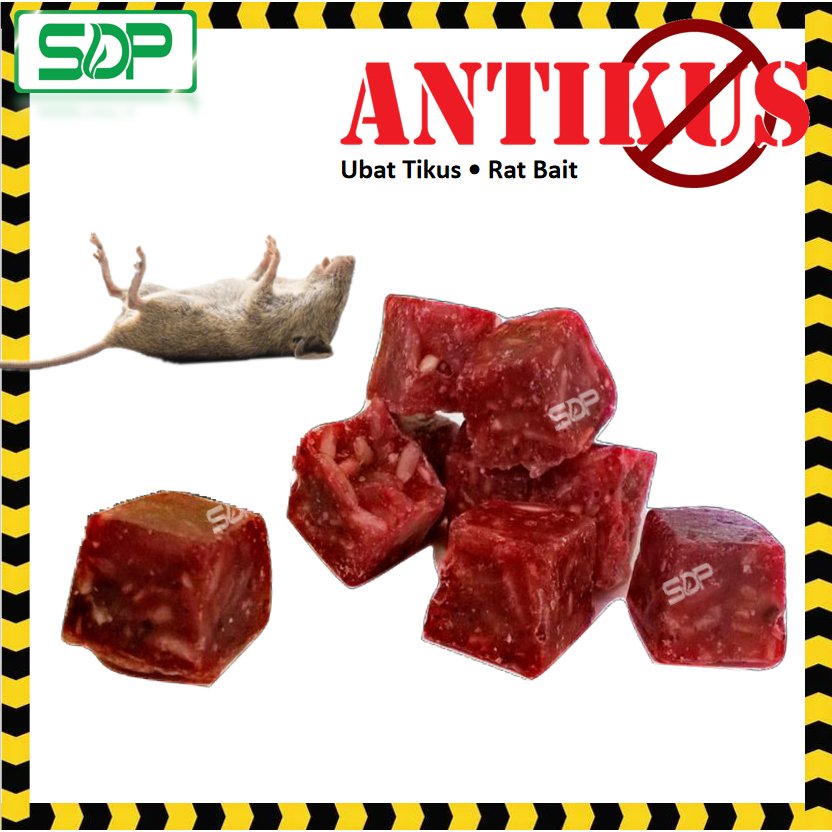 ANTIKUS Ubat Tikus Berkesan!! Effective!! Rat Poison Killer ...