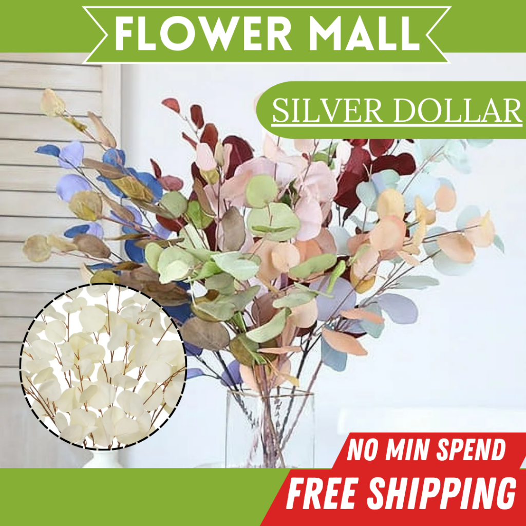 (30FLOWERS) SILVER DOLLAR ARTIFICIAL Buah Daun Hiasan Eucalyptus Leaf ...