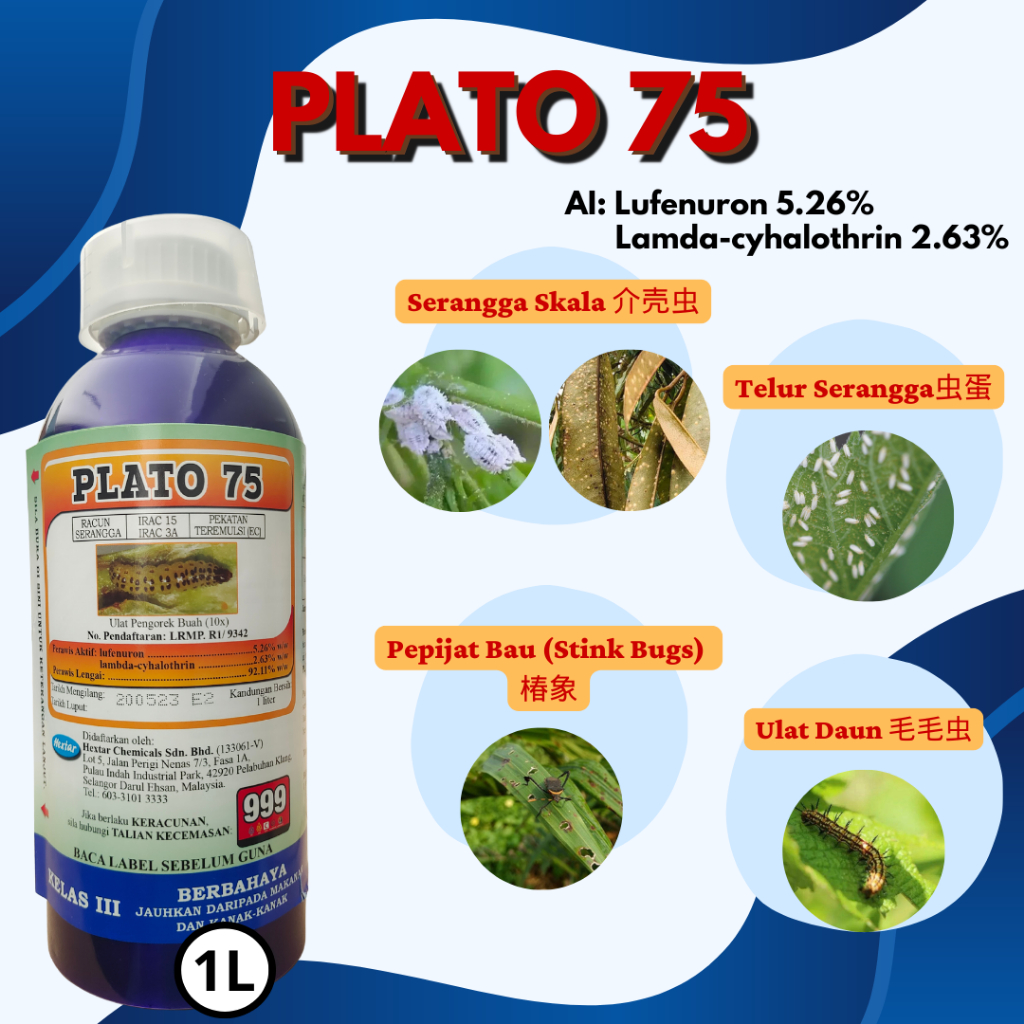 【Racun Ulat Pengorek Buah】Plato 75 Hextar（1L）Insecticide/ Racun Serangga/ 虫药/蛋药 （防治蛀果虫，杀虫，杀虫蛋 ...
