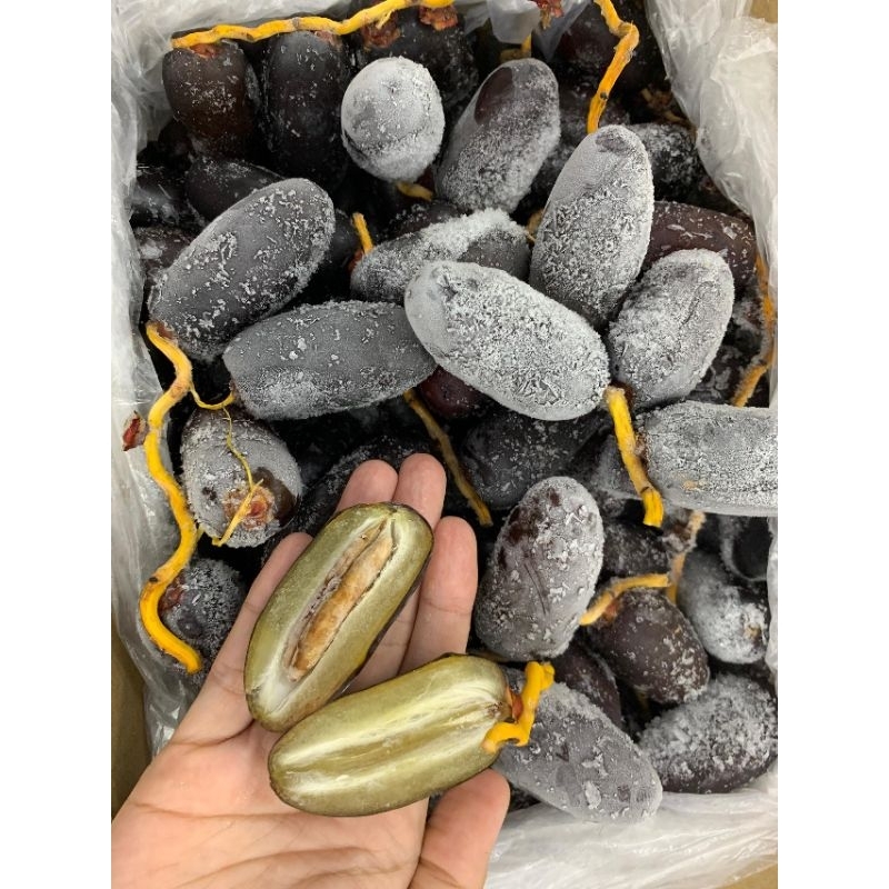 Kurma Frozen / kurma sejuk beku KL | Shopee Malaysia